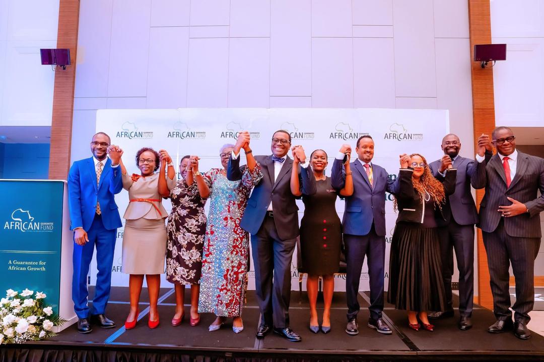 AfDB, others receive $20 billion IMF Special Drawing Rights approval ...