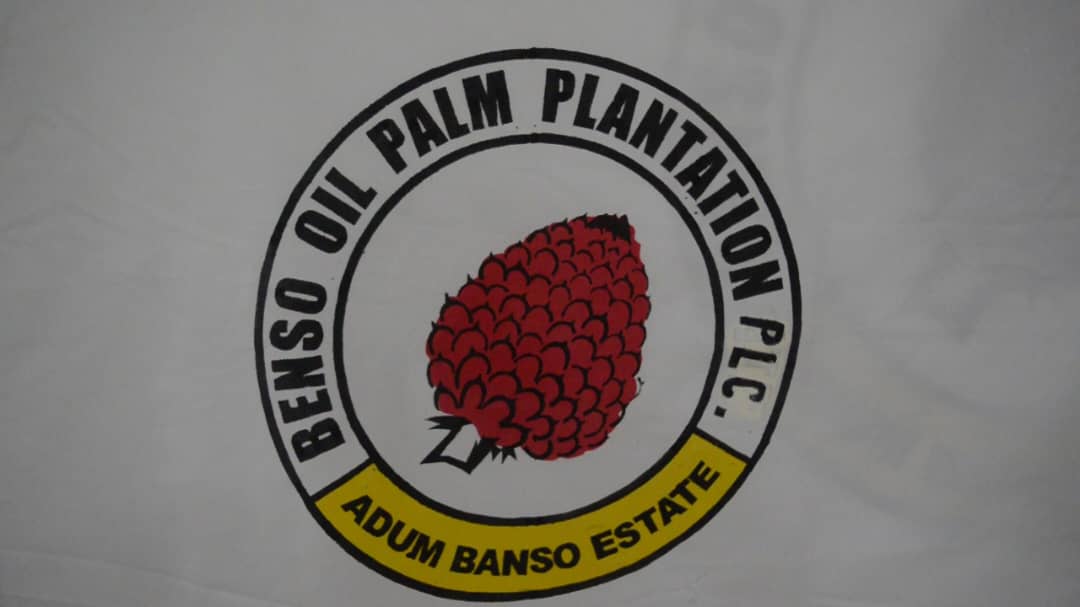 Closing Ghana’s Palm Oil Gap: Insights from Benso Oil Plantation ...