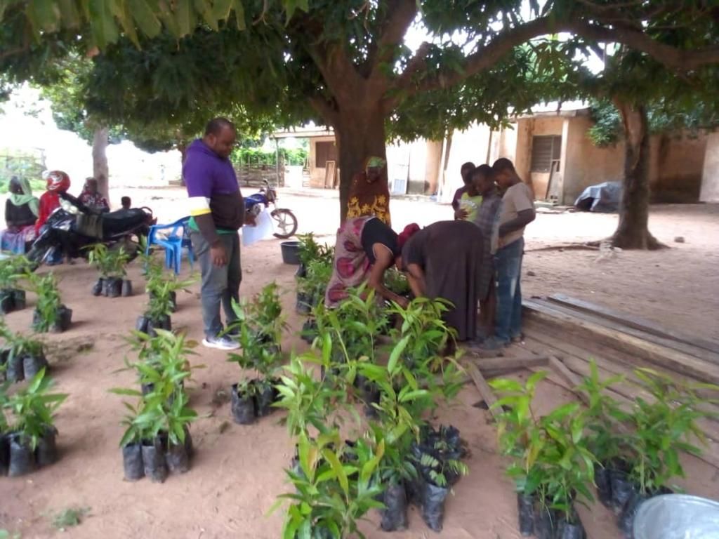 Green for Change Ghana launches initiative to restore indigenous tree ...