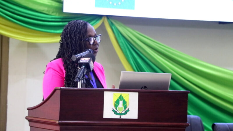 Prof. Dorothy Yeboah-Manu advocates for digital systems and AI in ...