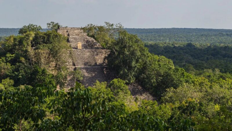 Researcher finds lost city in Mexico jungle by accident - MyJoyOnline