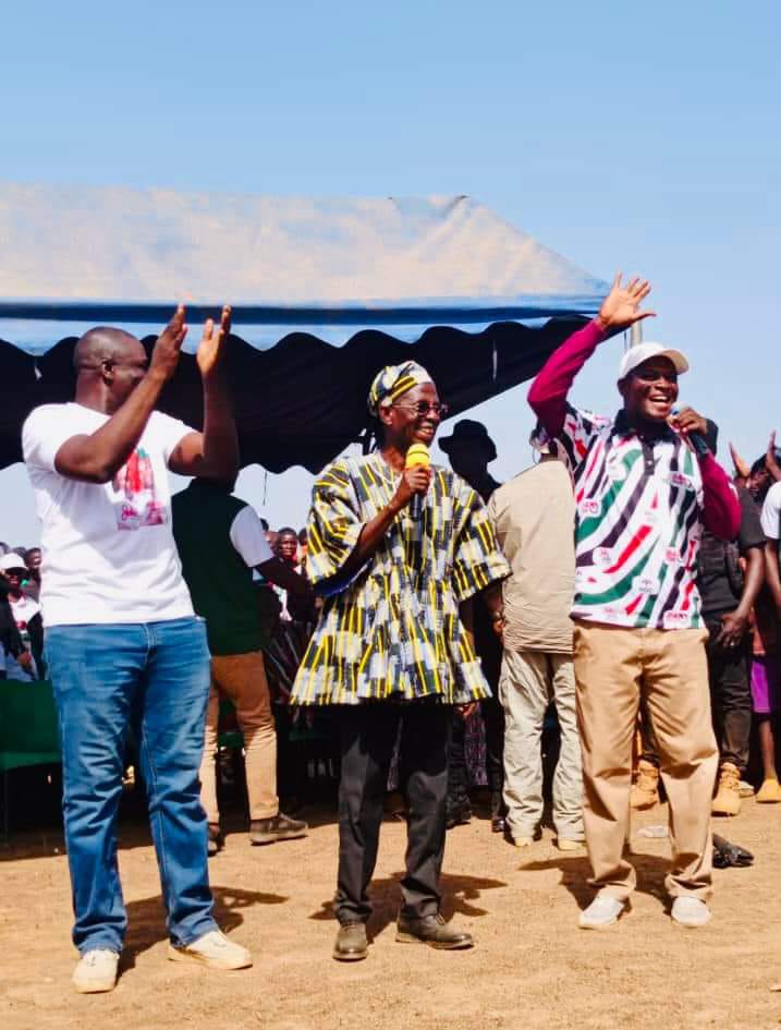 Akufo-Addo seeks to use Bawumia to complete Akyem agenda – Asiedu ...