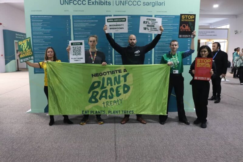 COP29 protest: Global call for plant-based treaty gains momentum ...