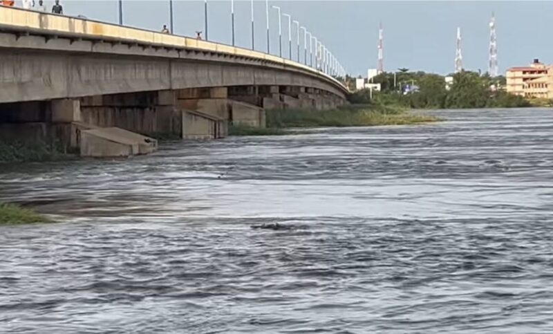 Man who fell to his death from Lower Volta Bridge identified - MyJoyOnline