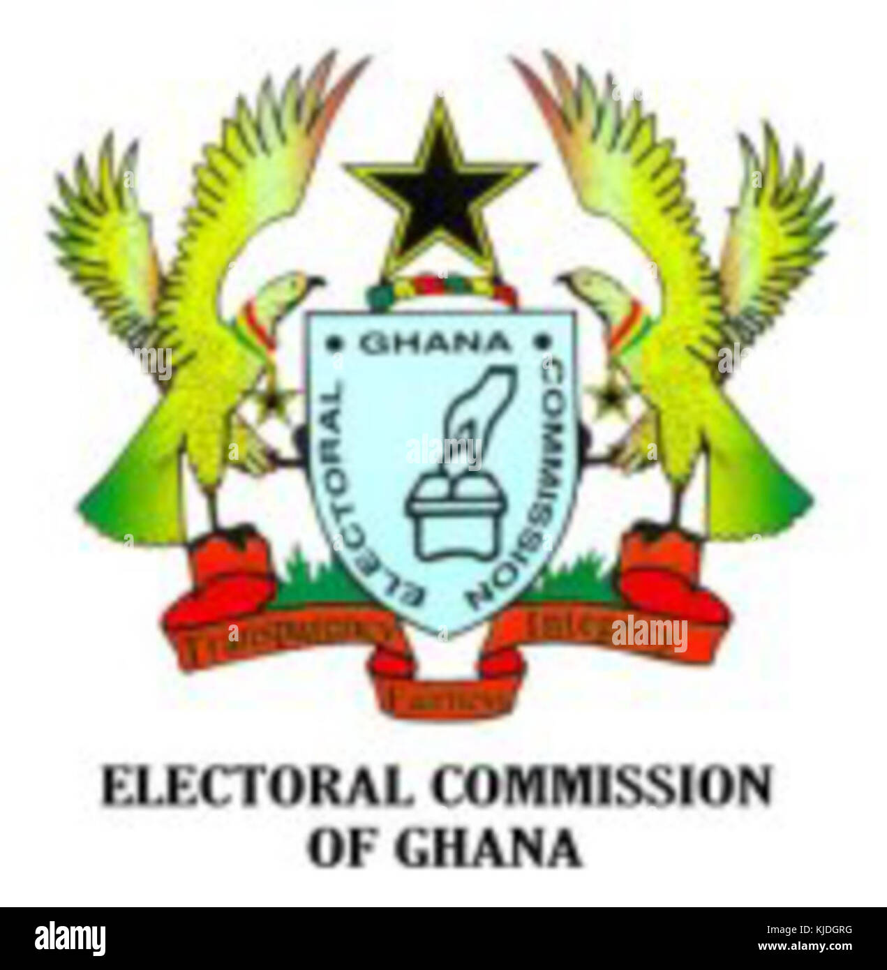 Exercise patience – EC urges citizens - MyJoyOnline