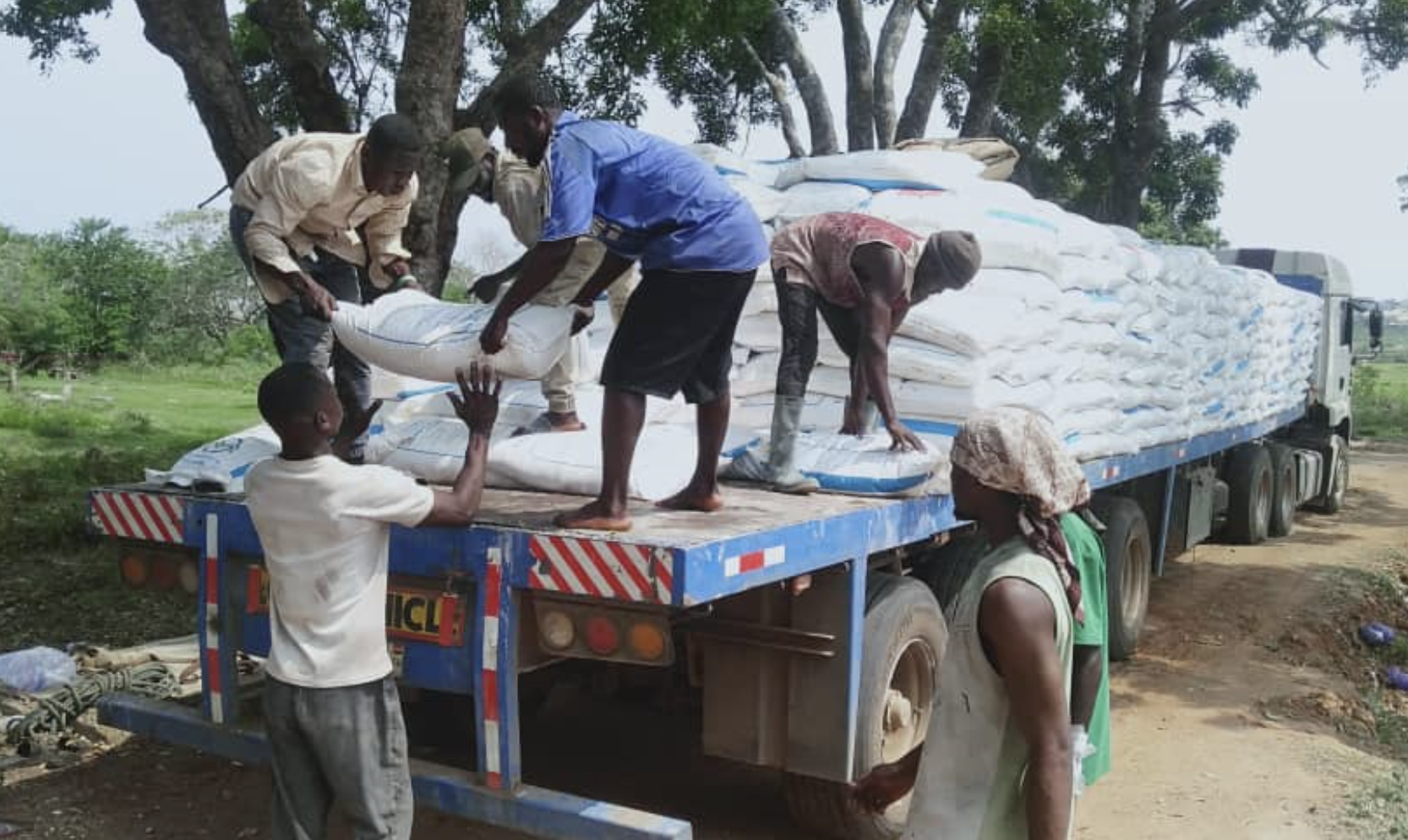 Ashaiman Farmers Union receives 3,000 bags of fertiliser under Feed ...