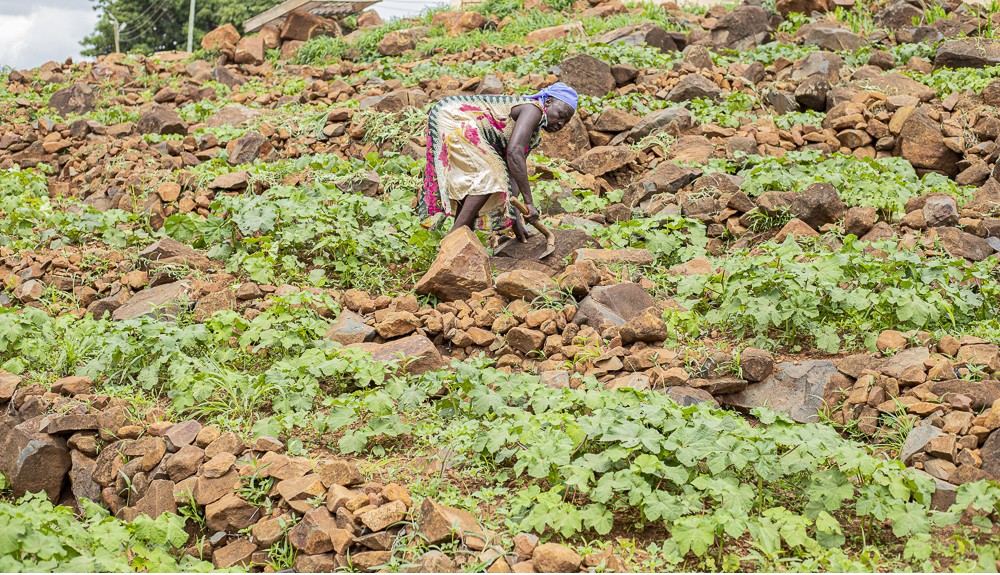 Trans-Sahara Project kicks off with reconnaissance visit to Bolgatanga ...