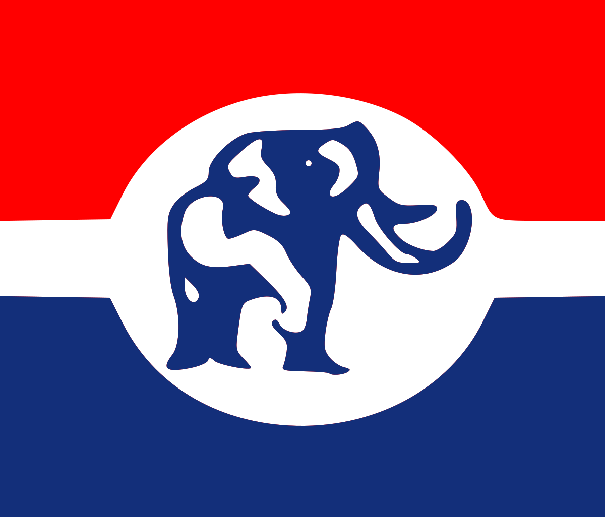 NPP external branch delegates petition party over ban on proxy voting ...