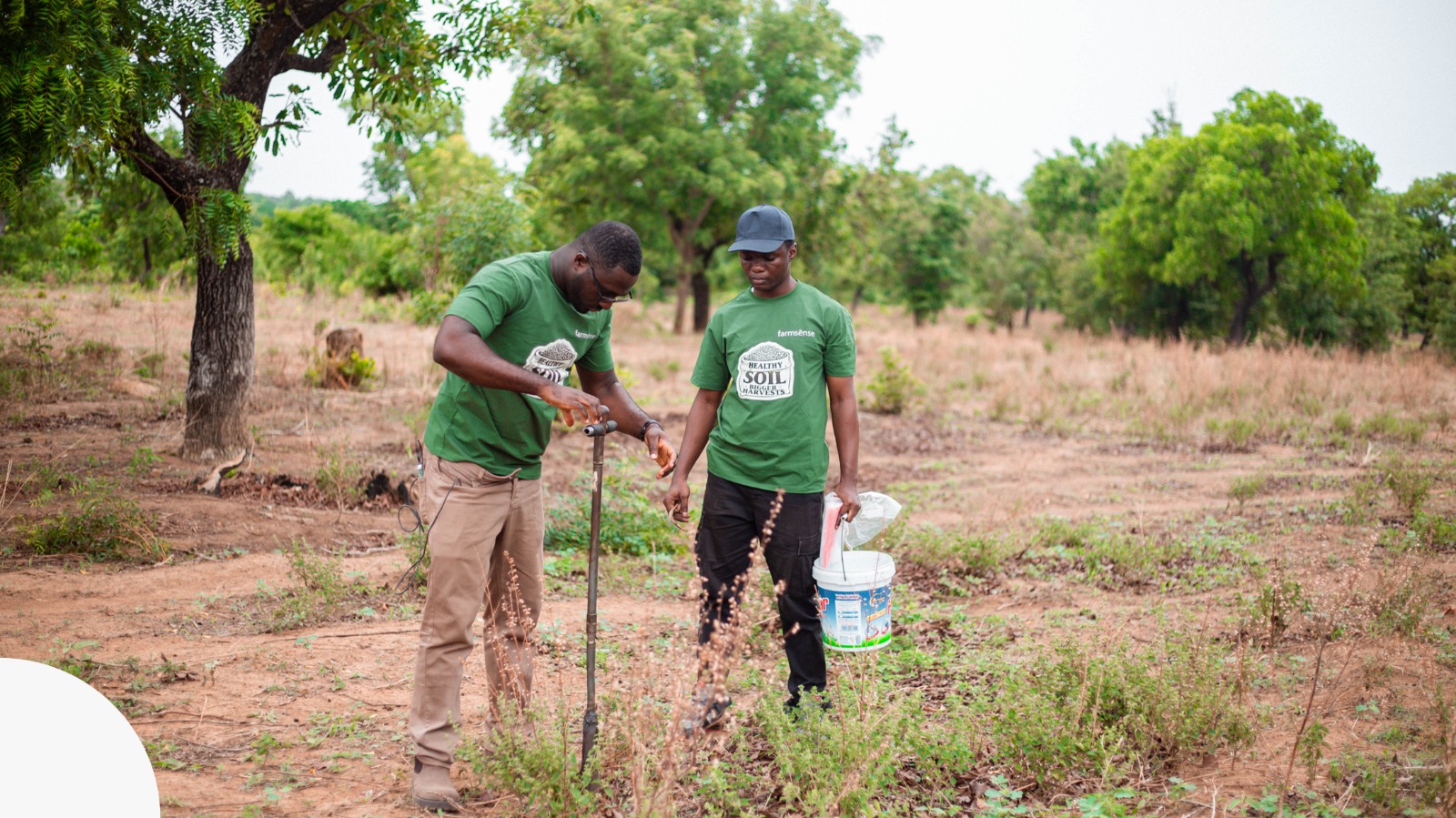 UK International Development backs FarmSense to transforms Agriculture ...