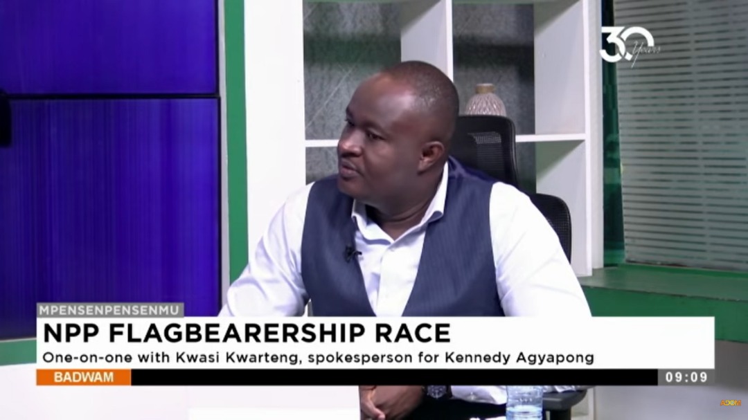 Candidate popularity key to electoral victory – Kwasi Kwarteng ...