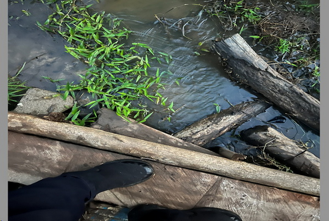 From Kasoa to The Forest: Who Will Save Ghana’s Water? - MyJoyOnline