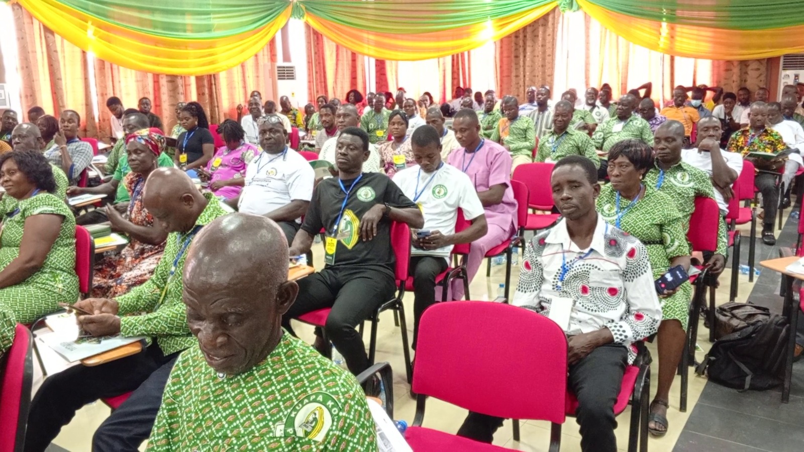 Galamsey threatens cocoa production as Kuapa Kooko appeals for stronger ...