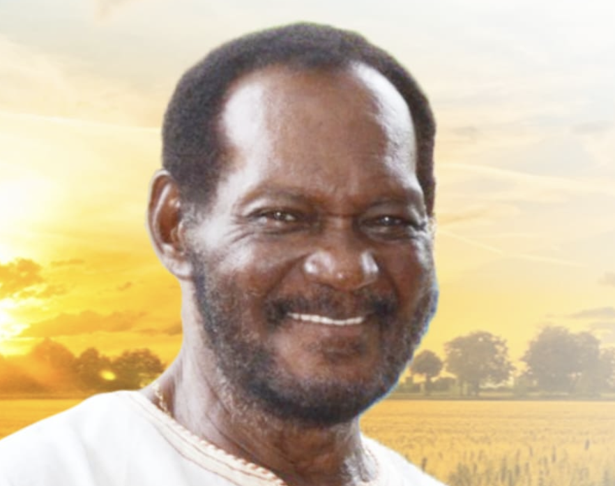 Vincent Birch Freeman - MyJoyOnline