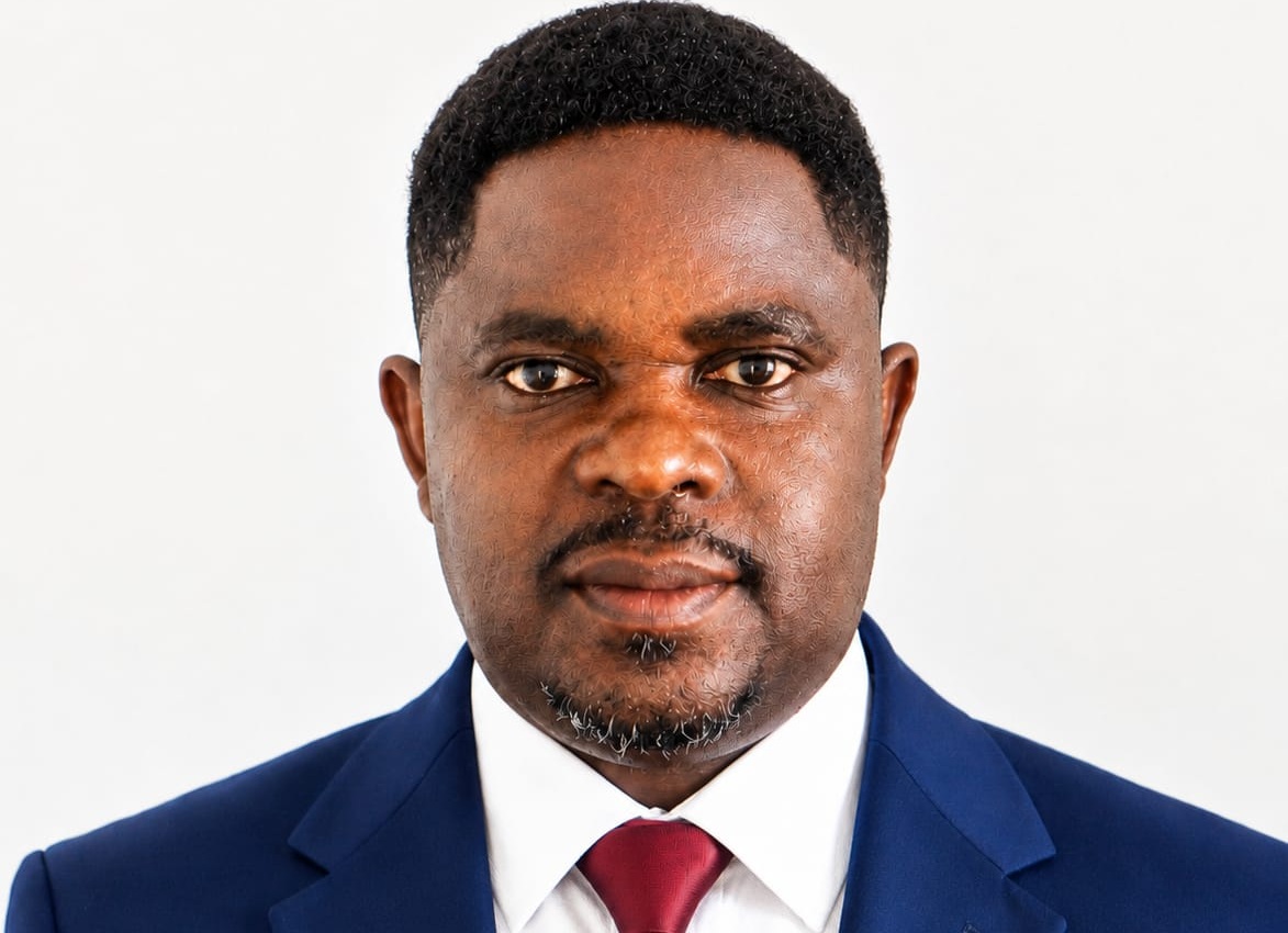 Focus on governance, not intimidation — NPP Germany tells NDC ...