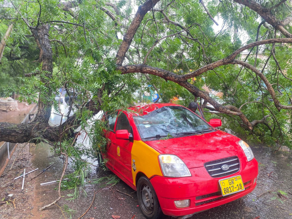 Driver, passenger escape unhurt after tree falls on taxi at Golf Hills ...